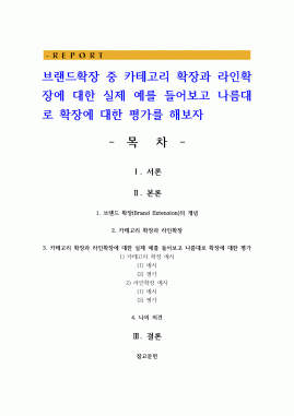 브랜드확장 중 카테고리 확장과 라인확장에 대한 실제 예를 들어보고 나름대로 확장에 대한 평가-1페이지