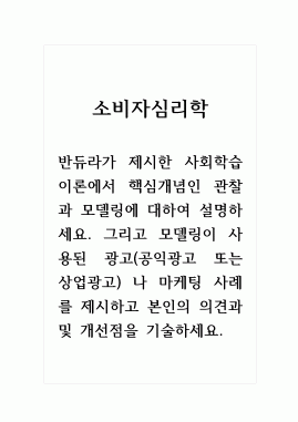 소비자심리학-반듀라가 제시한 사회학습 이론에서 핵심개념인 관찰과 모델링에 대하여 설명하세요-1페이지