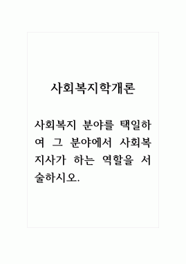 사회복지학개론_사회복지 분야를 택일하여 그 분야에서 사회복지사가 하는 역할을 서술하시오-1페이지