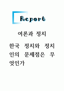 여론과정치_한국 정치와 정치인의 문제점은 무엇인가-1페이지