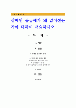 장애인 등급제가 왜 없어졌는가에 대하여 서술하시오-1페이지