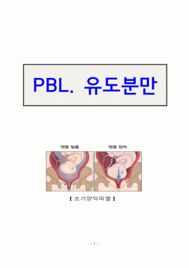 유도분만 PBL 간호진단-1페이지