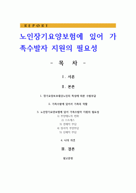 노인장기요양보험에 있어 가족수발자 지원의 필요성-1페이지