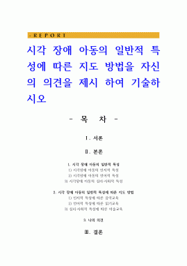 시각 장애 아동의 일반적 특성에 따른 지도 방법을 자신의 의견을 제시 하여 기술-1페이지