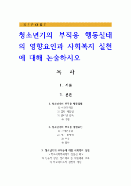 청소년기의 부적응 행동실태의 영향요인과 사회복지 실천에 대해 논술-1페이지