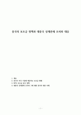 중국의 보조금 정책과 대중국 상계관세 조치와 대응-1페이지