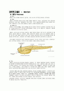 췌장염(Pancreatitis) 문헌고찰-1페이지