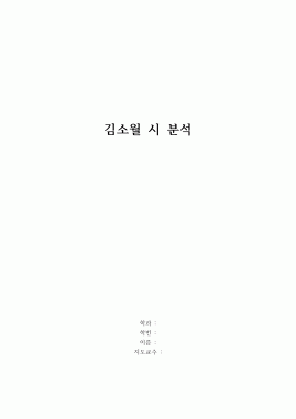 김소월 시 5편 분석-1페이지