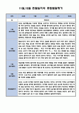 만0세 11월 12월 관찰일지 (관찰일지와 발달종합평가 5명 분량)-1페이지