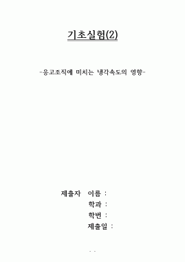 응고조직에 미치는 냉각속도의 영향 보고서-1페이지