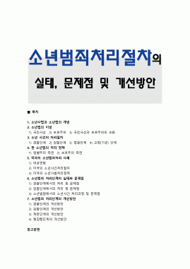 소년범죄처리절차의 실태, 문제점 및 개선방안-1페이지