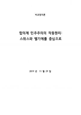 합의제 민주주의의 작동원리_스위스와 벨기에를 중심으로-1페이지