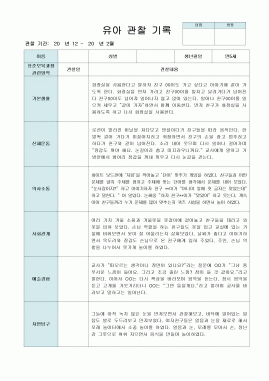 유아 관찰 기록 5세 12월~2월-1페이지