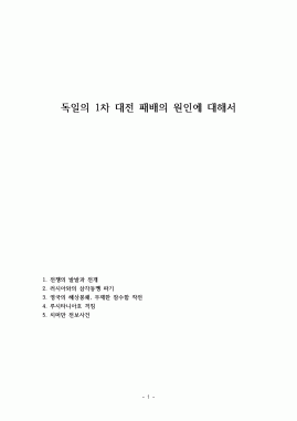 독일의 1차 대전 패배의 원인에 대해서-1페이지