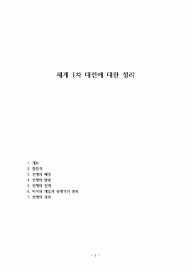 세계 1차 대전에 대한 정리-1페이지