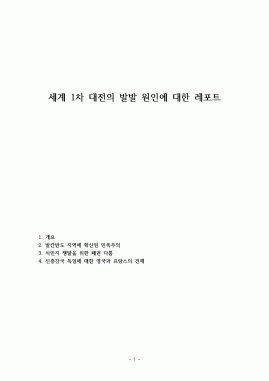 세계 1차 대전의 발발 원인에 대한 레포트-1페이지