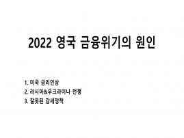 2022 영국 금융위기의 원인-1페이지