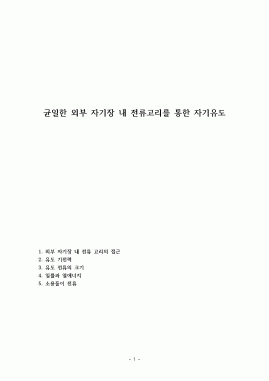 균일한 외부 자기장 내 전류고리를 통한 자기유도-1페이지