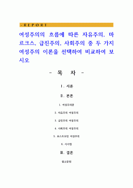 여성주의의 흐름에 따른 자유주의, 마르크스, 급진주의, 사회주의 중 두 가지 여성주의 이론을 선택하여 비교하여 보시오-1페이지