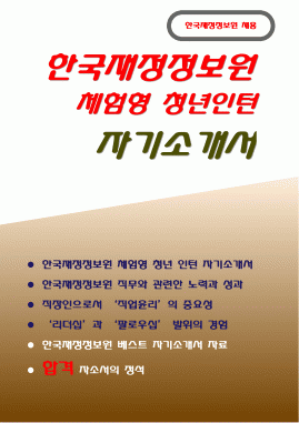 한국재정정보원 자기소개서] 한국재정정보원 2023 체험형 청년인턴 자소서 한국재정정보원 지원 직무와 관련하여 구체적으로 노력하여 성과 한국재정정보원 직장인으로서 직업윤리 등 한국재정정보원 자소서-1페이지