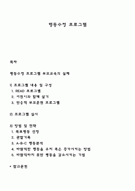 행동수정 프로그램-1페이지