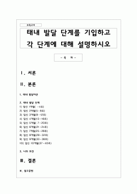 태내 발달 단계를 기입하고 각 단계에 대해 설명하시오-1페이지