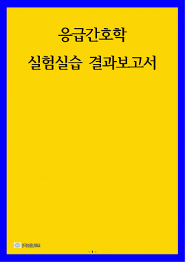 응급간호학 실험실습 결과보고서 기본소생술 BLS 의 과정을 기술하시오-1페이지