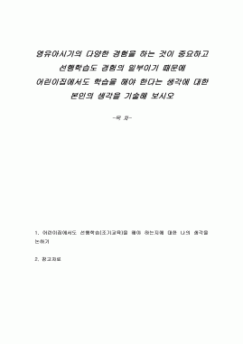 영유아시기의 다양한 경험을 하는 것이 중요하고 선행학습도 경험의 일부이기 때문에 어린이집에서도 학습을 해야 한다는 생각에 대한 본인의 생각을 기술해 보시오-1페이지