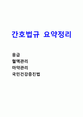 간호법규 요약2-1페이지