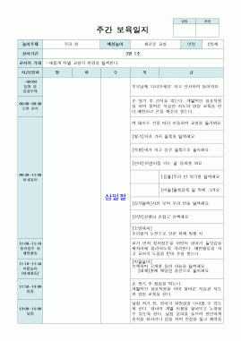 어린이집 만2세 3월 간소화 주간 보육일지(올해 3월 적용 1~5주)-1페이지