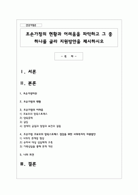 조손가정의 현황과 어려움을 파악하고 그 중 하나를 골라 지원방안을 제시하시오-1페이지