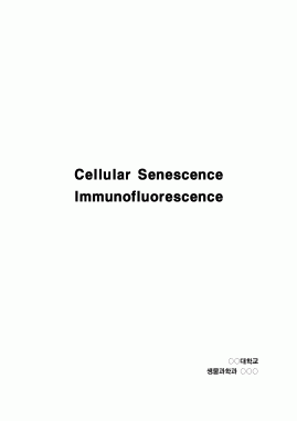 Cellular Senescence Immunofluorescence 레포트-1페이지