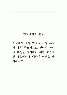 인력개발과활용_조직에서 적정 인력의 균형 유지가 매우 중요하므로 인력의 과잉과 부족을 방지하기 위한 효과적인 대응방안에 대하여 의견을 제시하시오.-1페이지