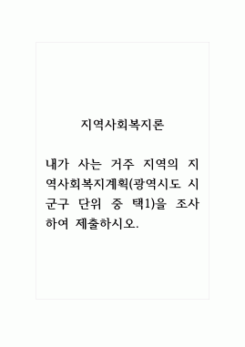 지역사회복지론_내가 사는 거주 지역의 지역사회복지계획(광역시도 시군구 단위 중 택1)을 조사하여 제출하시오.-1페이지