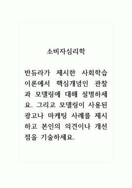 소비자심리학_반듀라가 제시한 사회학습 이론에서 핵심개념인 관찰과 모델링에 대해 설명하세요. 그리고 모델링이 사용된 광고나 마케팅 사례를 제시하고 본인의 의견이나 개선점을 기술하세요.-1페이지