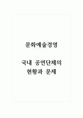 문화예술경영_국내 공연단체의 현황과 문제-1페이지