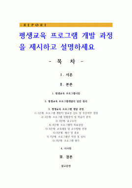 평생교육 프로그램 개발 과정을 제시하고 설명하세요-1페이지