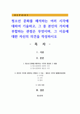 청소년 문화를 해석하는 여러 시각에 대하여 기술하고, 그 중 본인의 가치에 부합하는 관점은 무엇이며, 그 이유에 대한 자신의 의견을 작성하시오-1페이지