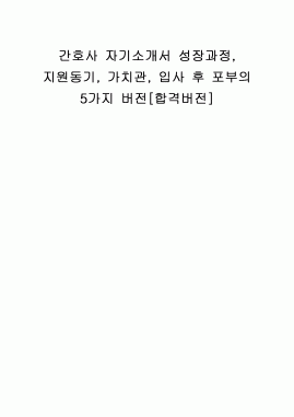 간호사 자기소개서 성장과정, 지원동기, 가치관, 입사 후 포부의 5가지 합격버전-1페이지