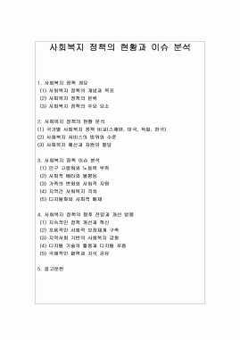 사회복지 정책의 현황과 이슈 분석-1페이지