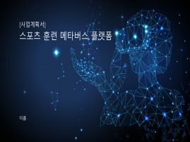 사업계획 스포츠 훈련 메타버스 플랫폼-1페이지