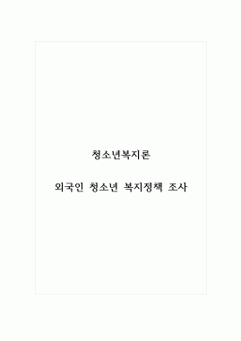 청소년복지론_외국인 청소년 복지정책 조사-1페이지