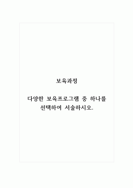 보육과정_다양한 보육프로그램 중 하나를 선택하여 서술하시오.-1페이지