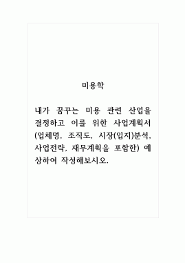 미용학_내가 꿈꾸는 미용관련 산업을 결정하고 이를 위한 사업계획서(업체명, 조직도, 시장(입지)분석, 사업전략, 재무계획을 포함한) 예상하여 작성해보시오.-1페이지