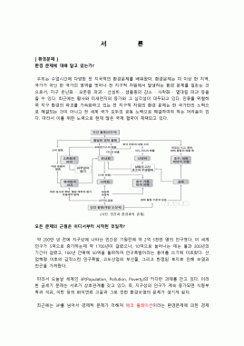 명지대 환경과 인간 환경문제 레포트-1페이지