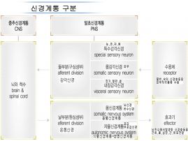 신경계질환 PPT-1페이지