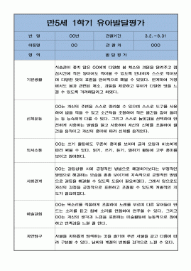 만5세 1년 (1학기,2학기) 유아 발달평가 3명 6페이지 / 6개 영역 발달평가-1페이지