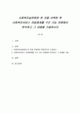 사회복지실천현장 한 곳을 선택한 후 사회복지서비스 전달체계를 구조 기능 차원에서 분석하고 그 내용을 기술하시오-1페이지