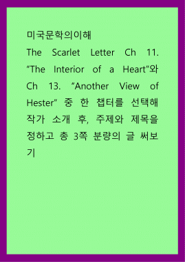 미국문학의이해 ) The Scarlet Letter Ch 11-1페이지