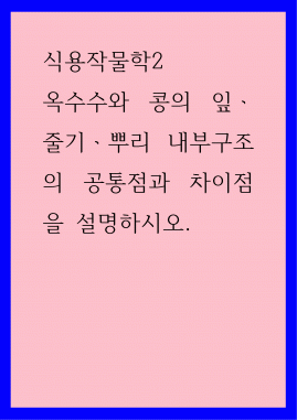 식용작물학2 ) 옥수수와 콩의 잎, 줄기, 뿌리 내부구조의 공통점과 차이점을 설명하시오-1페이지